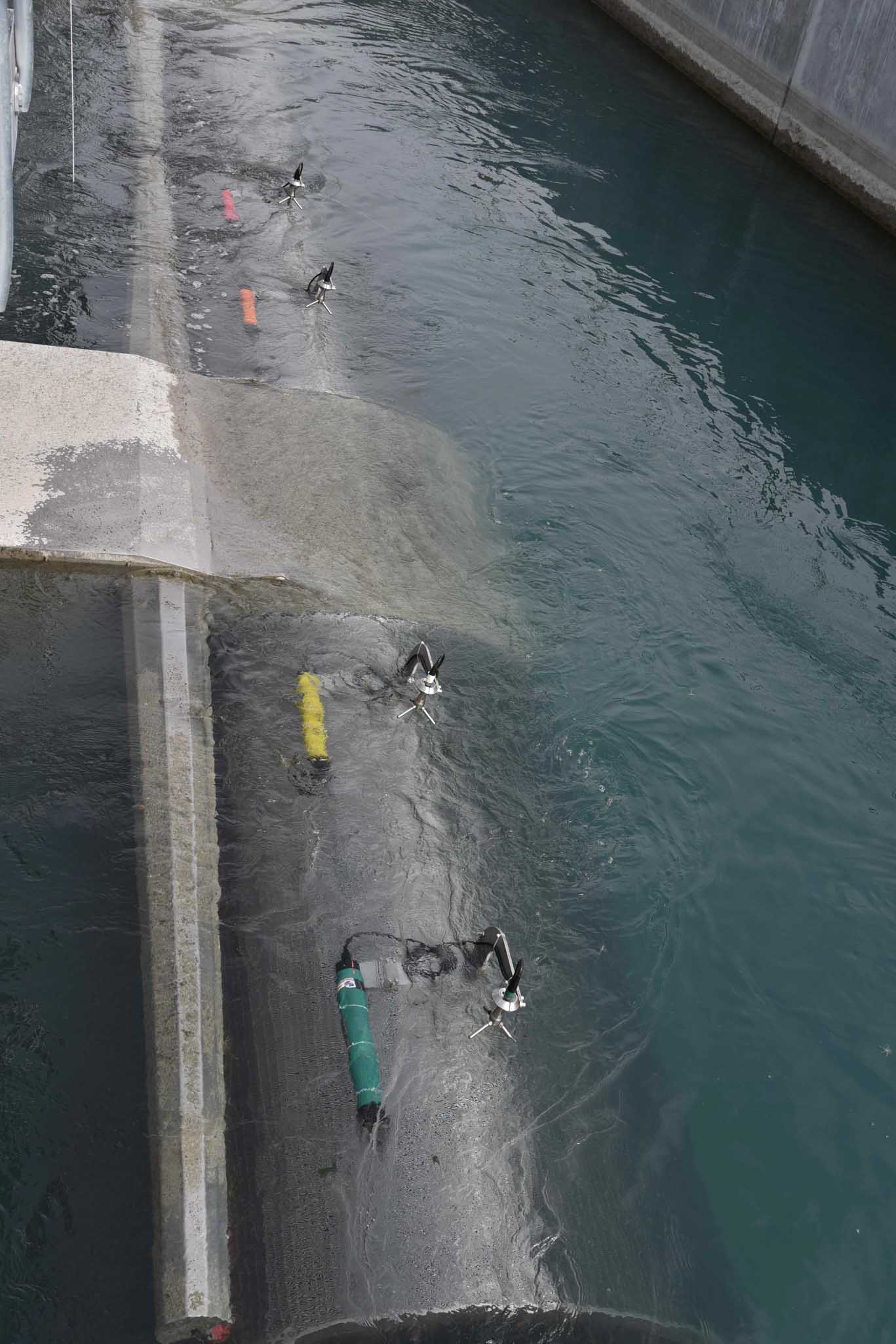 Fish Screen | Rangitata Diversion Race Management Ltd