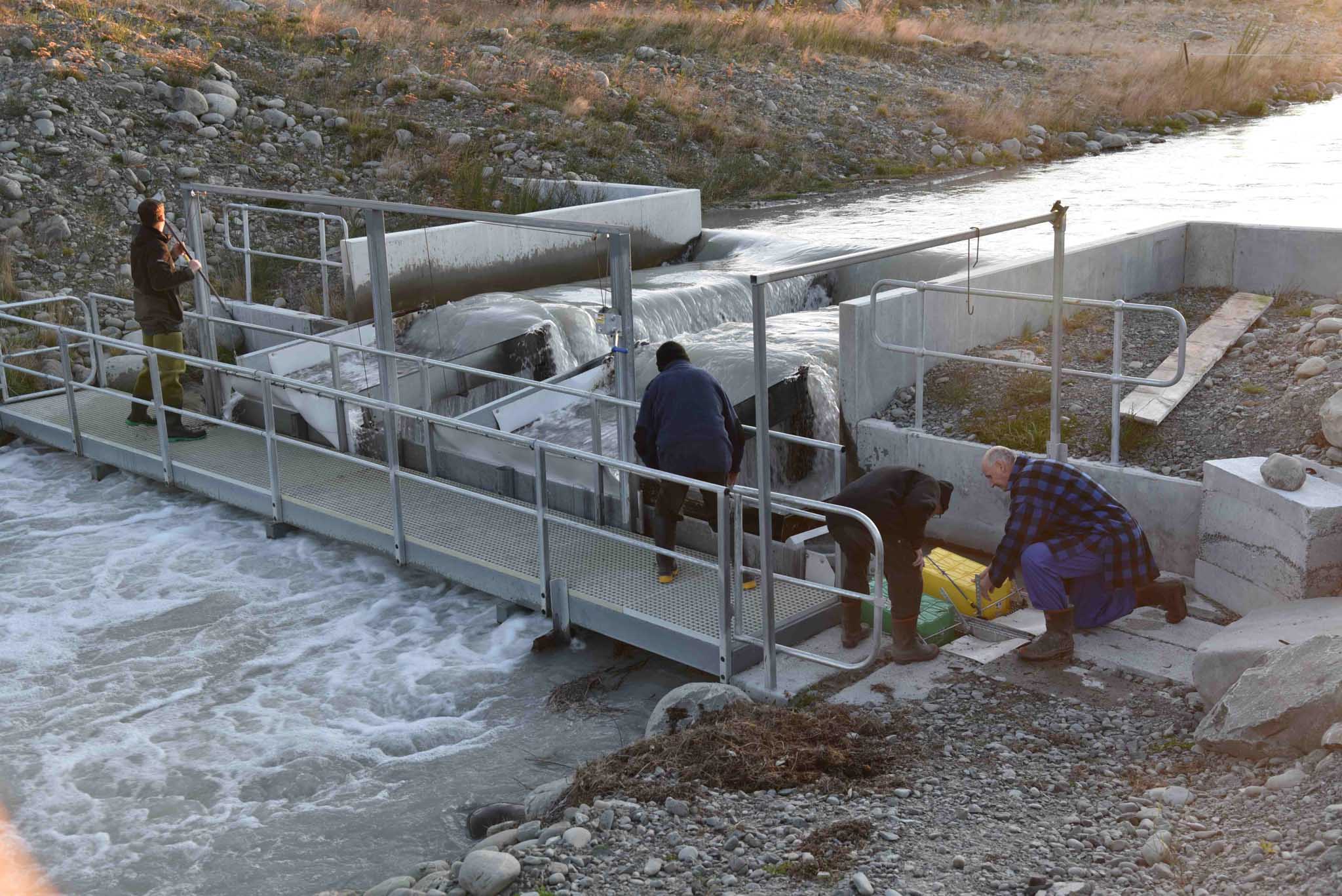 Fish Screen | Rangitata Diversion Race Management Ltd